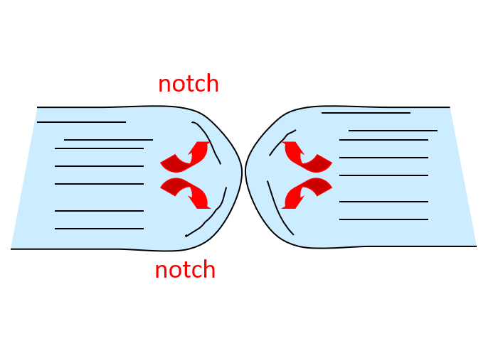 BIMS 2 webinar - What really happens at a Notch? | Simpatec